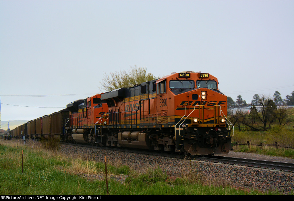 BNSF 6390 Coal Loads
